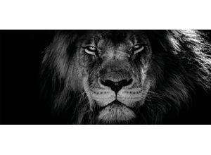 4032295087875 - Leinwandbild BÖNNINGHOFF Löwe schwarz (farbe bild(er) schwarz) B200cm H90cm T35cm MDF Papier Bilder
