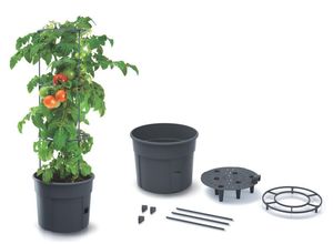 5905197289113 - Anzuchttopf PROSPERPLAST Tomato Growe Pflanzgefäße Gr H 316 cm grau (anthrazit) Pflanzgefäße ØxH 392x316 cm 21-teilig