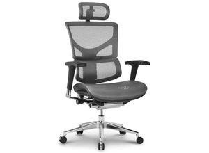 4251756451141 - Bürostuhl Spokane Ergonomic I Ergonomischer Schreibtischstuhl I Kopfstütze