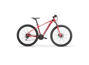 4260732862307 - Mountainbike 29 Zoll QUARX