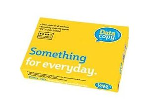 3597320176357 - Data copy Kopierpapier Everyday Printing DIN A4 80 g qm Palette mit 240x 500 Blatt