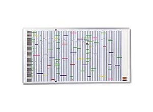 4016946057899 - Premiumline Personal- & Projektplaner Whiteboard 90 positions Magnetisch Lackierter Stahl Wandmontierbar 193 x 100 cm