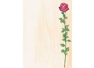 4004360966620 - Designpapier Rosenblüte DIN A4 90 g m2 Farbig sortiert 25 Blatt