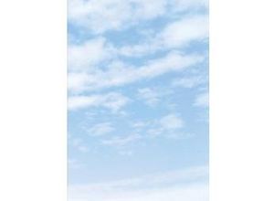 4004360948213 - Designpapier Wolken DIN A4 90 g m2 Weiß Hellblau 100 Blatt