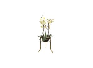 4046884081519 - HOFMANN LIVING AND MORE Blumentisch (1-St) goldfarben