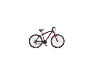 4260732861393 - ALTEC Mountainbike