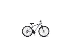 8698906157571 - ALTEC Mountainbike 29 Zoll Umit 4 MOTION silber