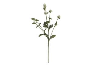 5712750330676 - Chic Antique Fleur Wildblume Dekozweig H74 cm weiß