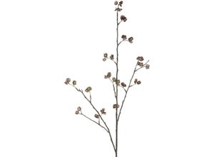 5712750259809 - Chic Antique Fleur Zweig mit altrosa Samenkapsel H84 cm altrosa