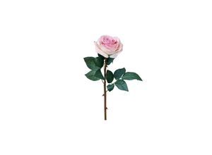 5712750310906 - Chic Antique Kunstblume Fleur Rose H52 rosa