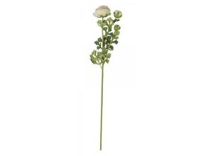 5712750195091 - Chic Antique Fleur Butterblume melone H70 L14 B7 cm melone