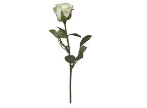 5712750210602 - Chic Antique Fleur Rose weiß H40 cm weiss