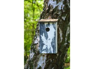 4055894110058 - dobar Nistkasten »Meisenkasten Betula pendula« BxTxH 155x145x30 cm braun|weiß