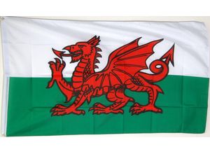 4260307166939 - XXL Flagge Wales 250 x 150 cm