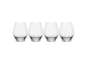 4003322299653 - Flavored Water Gläser Special Glasses 450 ml 4er Set