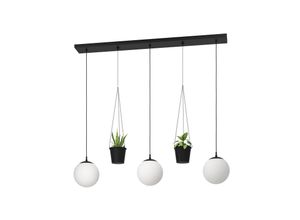 9008606244416 - Pendellampe Rondo 3 Blumentopf dreiflammig schwarz