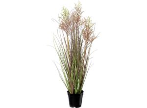 4064118138433 - Kunstgras CREATIV GREEN Reitgras im Topf grün H83cm Obermaterial 100% Polyethylen Kunstpflanzen