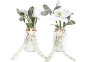 4027234890081 - Künstliche Zimmerpflanze BOTANIC-HAUS Mistel-Arrangement Kunstpflanzen Gr Ø H 12 cm x 18 cm 2 St weiß Künstliche Zimmerpflanzen