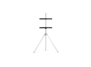 8716184073236 - 65 TV Stand Tripod Metal Cool white TV-Standfuß Höhenverstellbar Schwenkbar 813 cm (32) - 1651 cm (65) Schwenkbar Höhenverstellbar Bodenständer