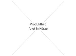 4063955012692 - Duschkabine  Duschabtrennung Vital 2 Drehtür an Festteil rechts + Duschwand links (Kombination) rechts 900mm links 1075mm