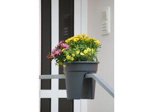 4013351341353 - Balkonkasten Flowerclip Pflanzgefäße grau (anthrazit) Deko ØxH 27x275 cm