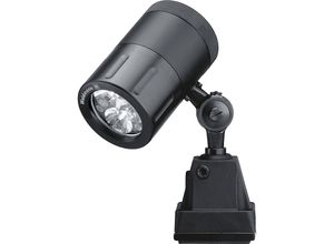 4013330829506 - Maschinenleuchte 24 V Aluminium eloxiert schwarz Spot mit 10°-Abstrahlwinkel Waldmann