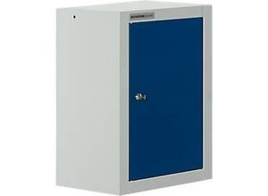 4051273645999 - Select Wandschrank MS 420 eintürig mit Zwischenboden B 420 x T 320 x H 600 mm Stahl lichtgrau enzianblau