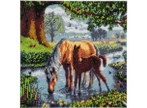 5055865467876 - Crystal Art Kit auf Holzrahmen-Leinwand - Ponys 30 x 30 cm mehrfarbig