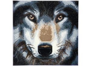 5055865485818 - Crystal Art Kit auf Holzrahmen-Leinwand - Wolf 30 x 30 cm mehrfarbig