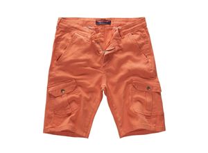 4251654415665 - Shorts Cargo Shorts Regular Fit