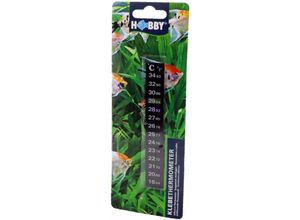 4011444605009 - Hobby Digitalthermometer für Aquarien 1 St