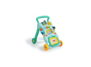 4260360011993 - Coemo Spiel- und Laufwagen Nancy Lauflernwagen für Babys Mintgrün