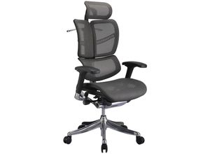 4251756451127 - Bürostuhl Norfolk Ergonomic I Ergonomischer Schreibtischstuhl I Kopfstütze