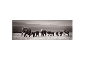 8714597577686 - Holzbild REINDERS Deco Panel 52x156 Line of Elephants Bilder Gr B H T 156 cm x 52 cm x 2 cm Querformat schwarz Holzbilder Bilder