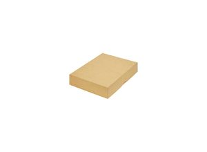 4260069660584 - terra Stülpdeckelkarton zweiteilig Innenmaße 302 x 213 x 55 mm A4 braun ab 300 Stk