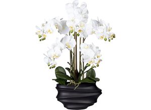 4003529918661 - Phalaenopsis real touch Höhe 750 mm weiß Kunststoffvase schwarz