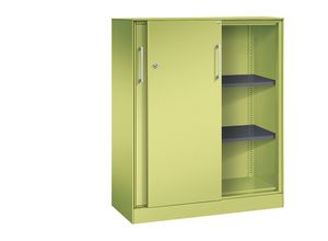 4062084808640 - C+P Schiebetürenschrank Asisto H1310xB1000xT435mm Korpus Viridingrün Fronten Viridingrün Anzahl Fächer 2