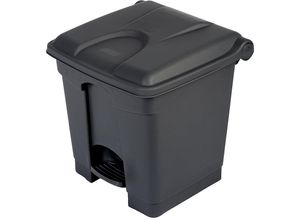 4897020629962 - Tretabfallsammler aus Rezyklat antibakteriell Volumen 30 l HxBxT 435 x 400 x 410 mm schwarz ab 5 Stk