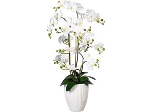 4064118078722 - Orchidee Phalaenopsis real touch in Keramikvase Höhe ca 1100 mm weiß