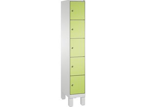 4056211568484 - EVOLO Fächerschrank mit Füßen 1 Abteil 5 Fächer Abteilbreite 300 mm lichtgrau   viridingrün