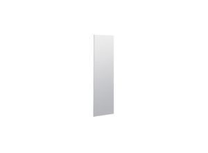 4250618214870 - Rückwand für Garderobenöffnung lichtgrau RAL 7035 BxH 450 x 1800 mm Wolf