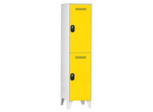 4250618246116 - Garderobenschrank Fachhöhe 820 mm HxBxT 1850 x 400 x 500 mm Abteilbreite 400 mm Korpus-   Türfarbe Lichtgrau   Zinkgelb