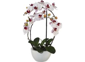 4003529169032 - Kunstorchidee GASPER rosa Kunstpflanzen B H 22cm x 52cm Keramik Kunststoff B22cm H52cm T22cm