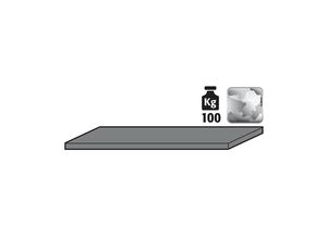 4250101139109 - Fachboden Standard für asecos Chemikalienschränke der CS und CX Serie Stahlblech B 993 x T 492 x H 30 mm bis 100 kg