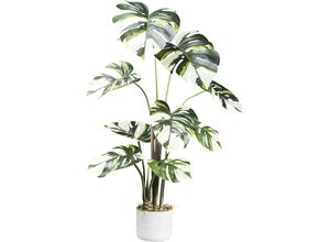 4064118139522 - Kaiserkraft - 734754 Monstera variegata Melamintopf 2er-Set