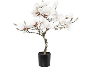 4064118001973 - LED-Magnolienbaum beschneit im Kunststofftopf weiß Höhe 580 mm mit 20 LEDs