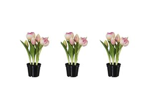 4064118139232 - Gefüllte Tulpen real touch im Topf Höhe 250 mm VE 3 Stk rosa