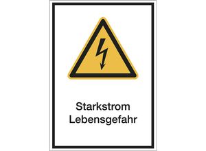 4061466043686 - Kombischilder mit Text für Warnkennzeichen Starkstrom Lebensgefahr VE 10 Stk Folie LxH 210 x 297 mm