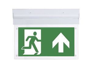 4251138202347 - B-safety - BR599030 Fluchtweg-Notbeleuchtung Deckenmontage Wandmontage links rechts hoch