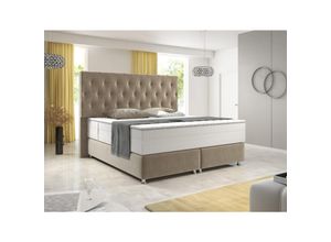 4260465767153 - Inter Handels Boxspringbett Diamond 180x200 cm Velour Stoff Beige